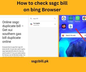 SSGC Duplicate Bill Online - Check Sui Gas Bill February 2026